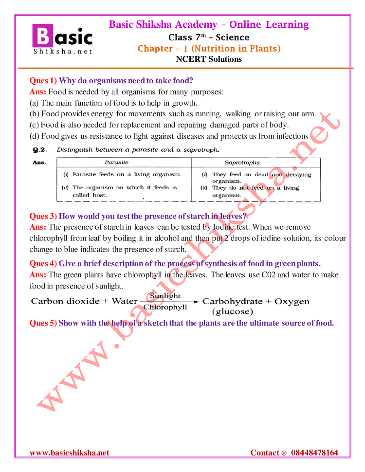 CBSE Class 7 Chapter 1 Science NCERT Questions Answers