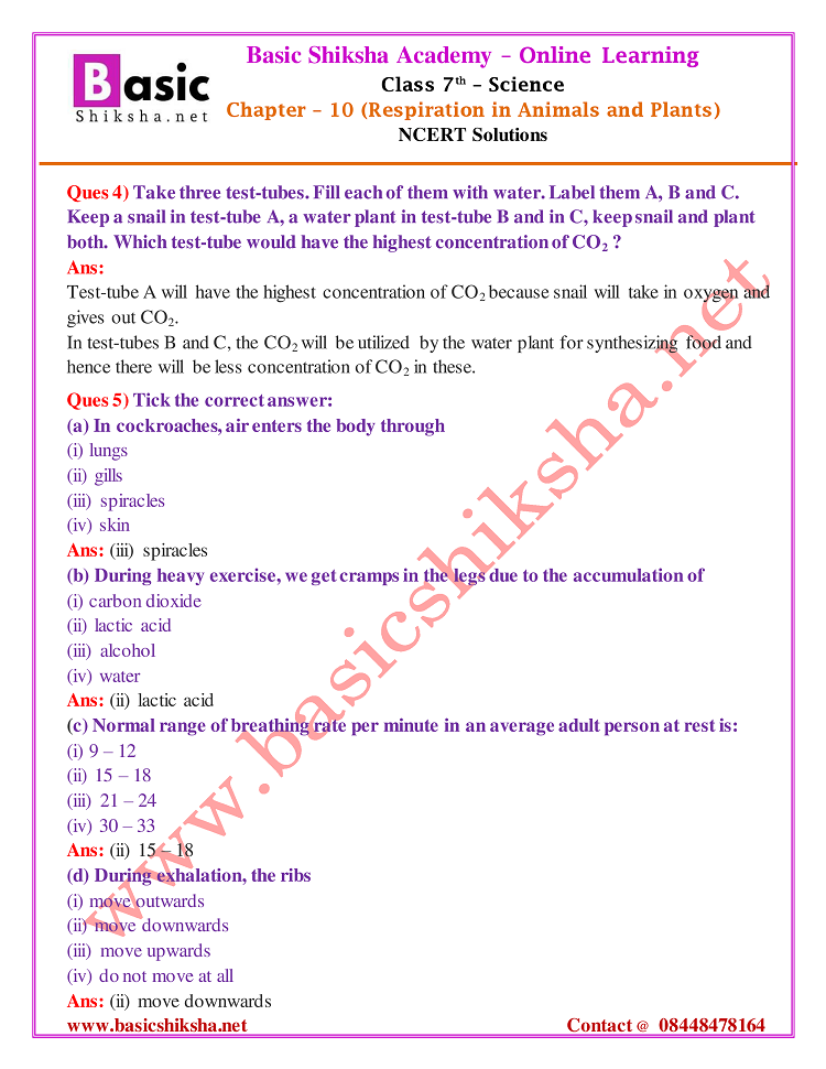 CBSE Class 7 Chapter 10 Science NCERT Questions Answers