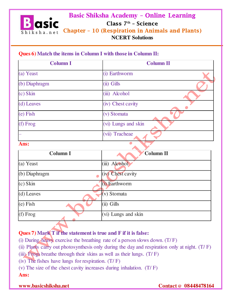 CBSE Class 7 Chapter 10 Science NCERT Questions Answers