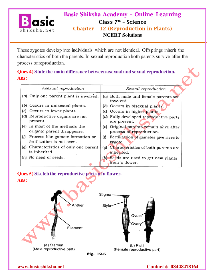 CBSE Class - 7 Chapter 12 NCERT Solutions