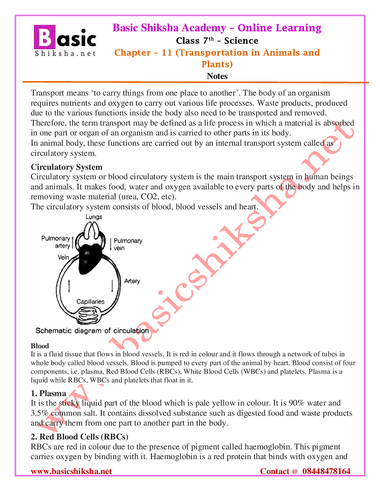 CBSE Class 7 Chapter 11 NCERT Notes