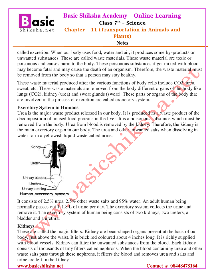 CBSE Class 7 Chapter 11 NCERT Notes