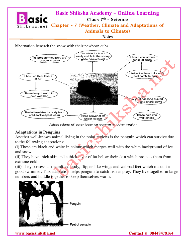 CBSE Class 7 Chapter 7 NCERT Notes
