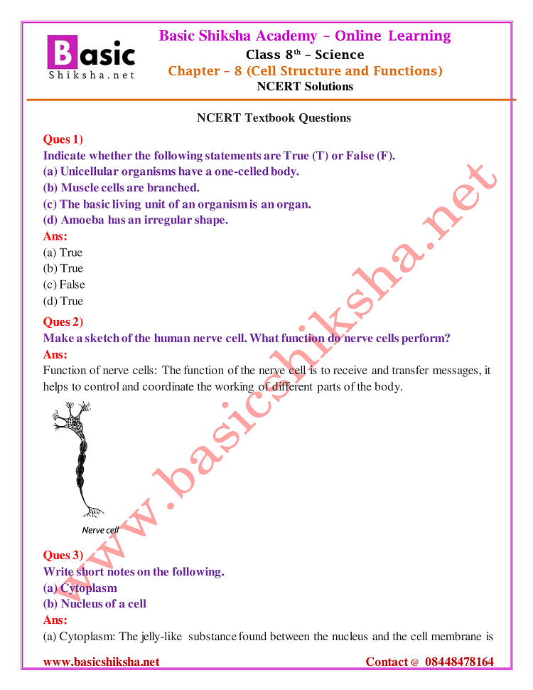 CBSE Class - 8 Chapter 8 NCERT Solutions