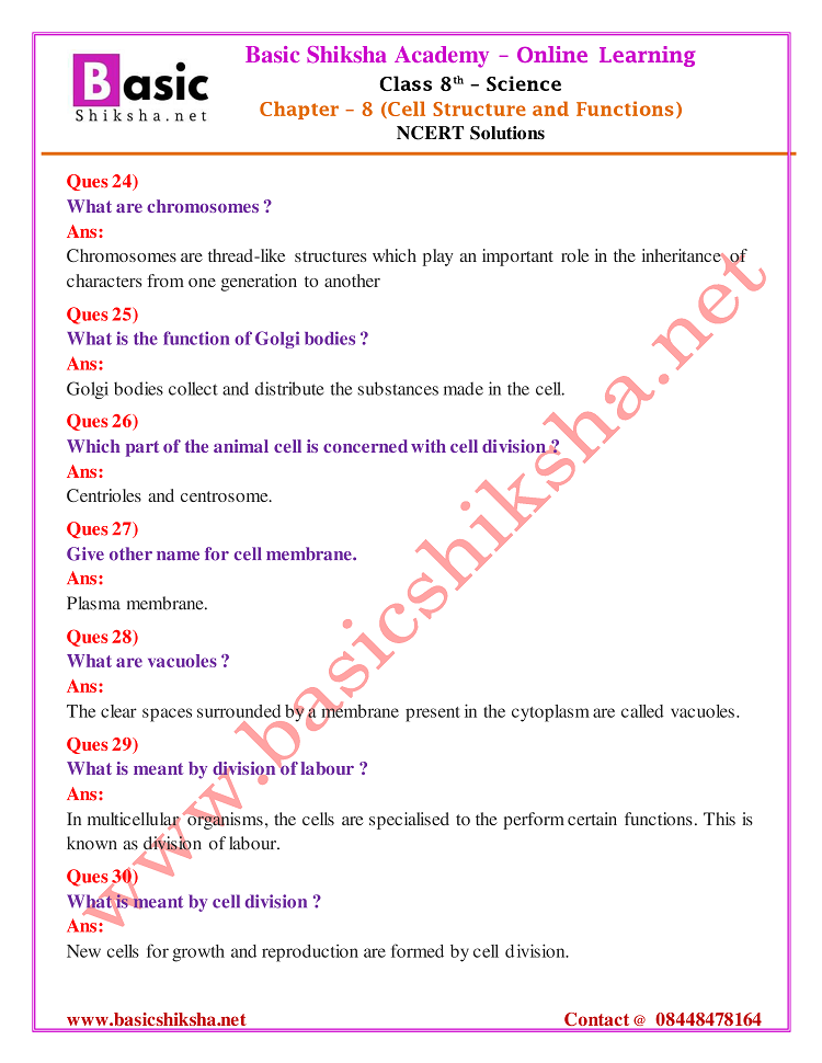 CBSE Class - 8 Chapter 8 NCERT Solutions