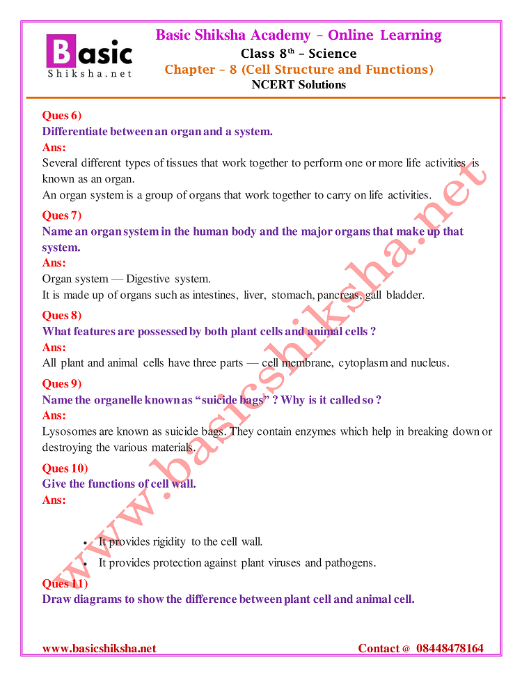 CBSE Class - 8 Chapter 8 NCERT Solutions