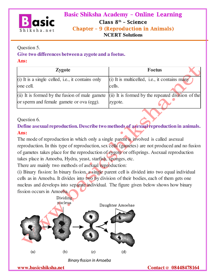 CBSE Class 8 Chapter 9 Science NCERT Questions Answers