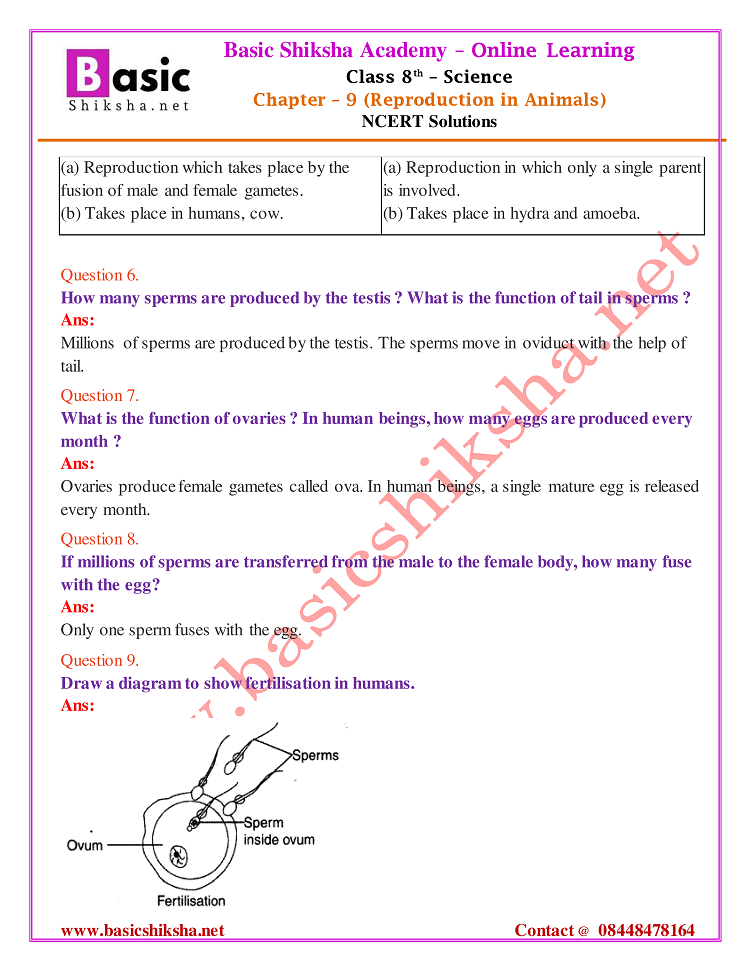 CBSE Class 8 Chapter 9 Science NCERT Questions Answers