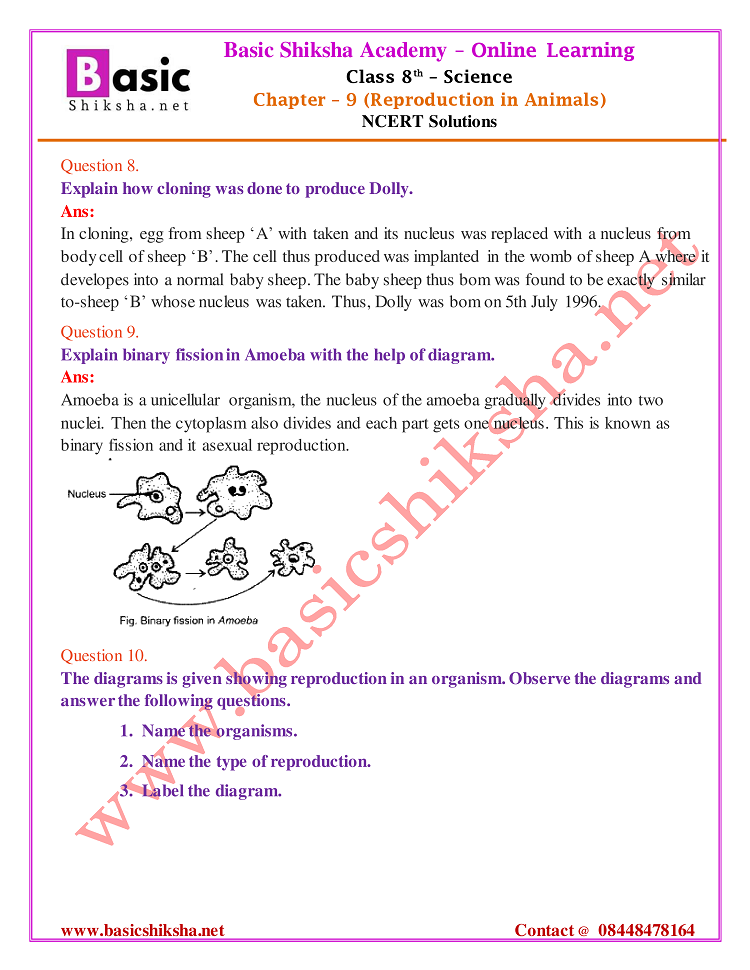CBSE Class 8 Chapter 9 Science NCERT Questions Answers